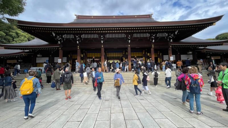 Awesome Private Tour: Tsukiji, Asakusa, Shinjuku, Shibuya - Off the Beaten Path