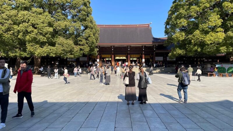 Awesome Private Tour: Tsukiji, Asakusa, Shinjuku, Shibuya - Included Services and Costs