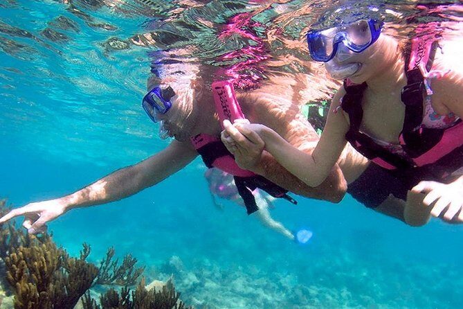 Awesome Tour Day at Xcaret Plus + Transportation from Riviera Maya - Who Should Consider This Tour?