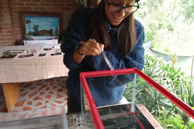 Axolotl Tour from CDMX - Who Will Love This Tour?
