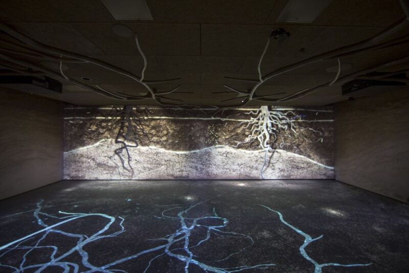 Aÿ-Champagne: Pressoria Champagne Museum with Tasting - Who Will Love This Tour?