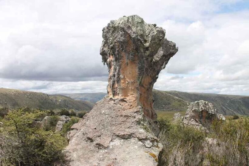 Ayacucho: Huaraca | Explore the Enigmatic Stone Grove - Who Should Consider This Tour?