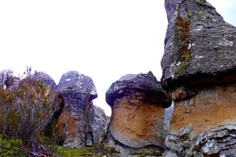 Ayacucho: Huaraca | Explore the Enigmatic Stone Grove - FAQs