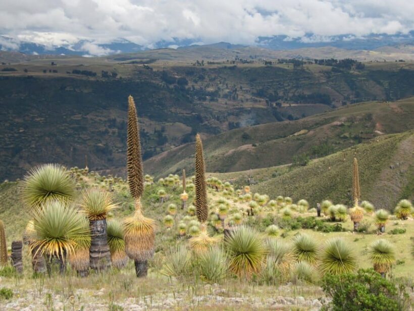 Ayacucho | Relax at Collpa Thermal Pools | Aguas termales - An In-Depth Look at the Tour Experience