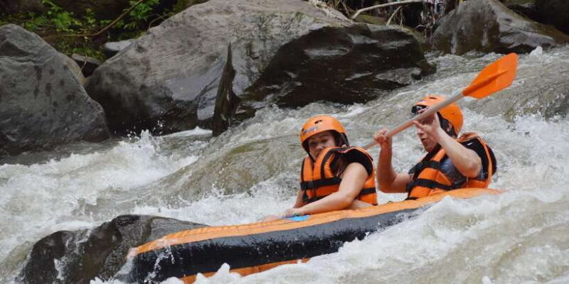 Ayung River: All-Inclusive Tubing Adventure with Lunch - Why Choose This Tour?