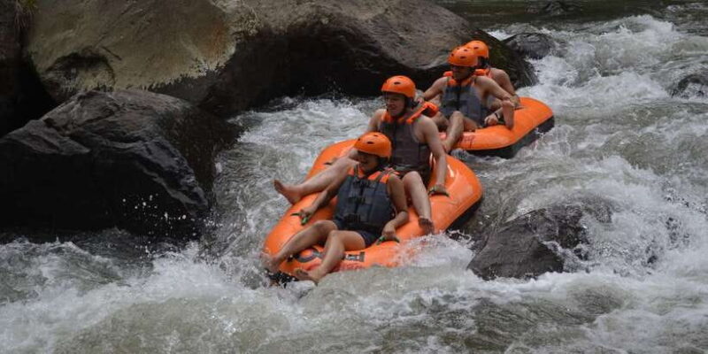 Ayung River: All-Inclusive Tubing Adventure with Lunch - The Scenic Highlights