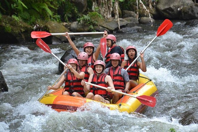 Ayung River Half-Day White Water Rafting Bali in Ubud - Why Travelers Rate This Tour Perfectly