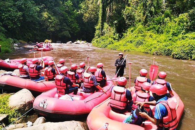 Ayung River Half-Day White Water Rafting Bali in Ubud - The Scenery and the Rapids