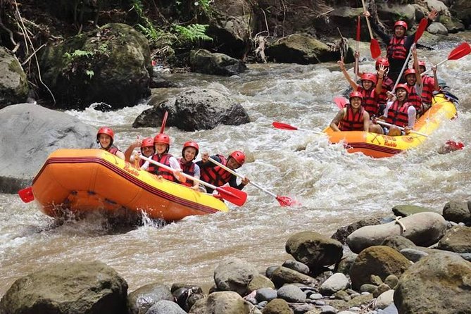 Ayung River Half-Day White Water Rafting Bali in Ubud - Who Should Consider This Tour?