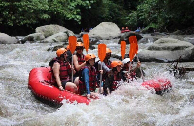 Ayung River Thrills: Ultimate White-Water Rafting Journey - Key Points