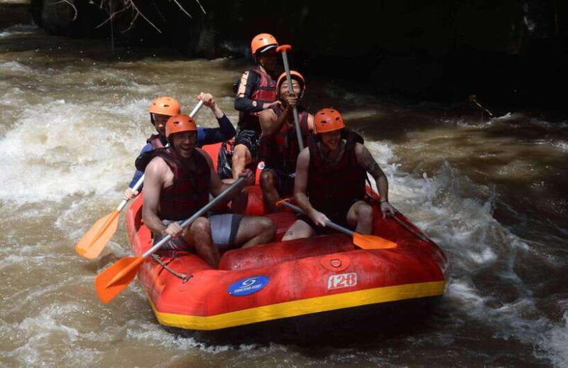 Ayung River Thrills: Ultimate White-Water Rafting Journey - Who Should Consider This Experience?