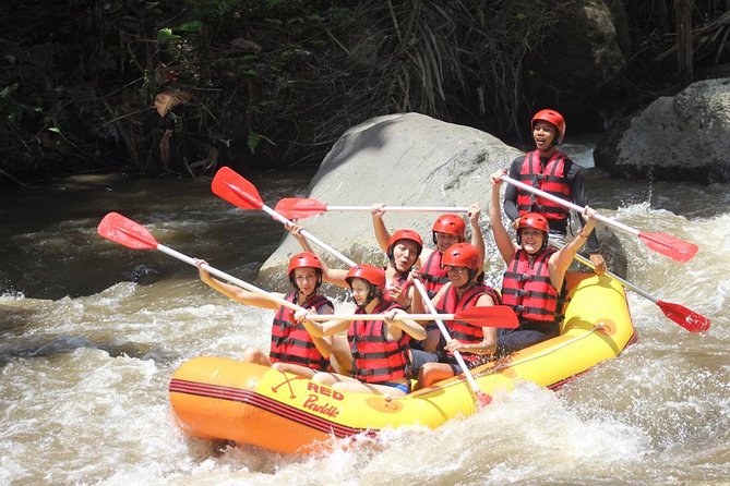 Ayung River - White Water Rafting Bali - Introduction