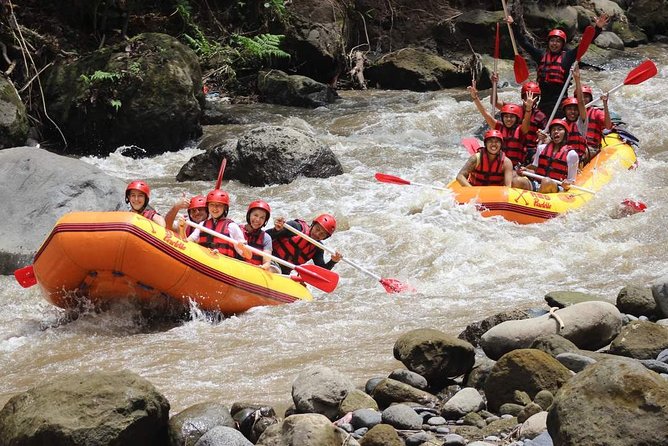 Ayung River - White Water Rafting Bali - Detailed Breakdown of the Experience