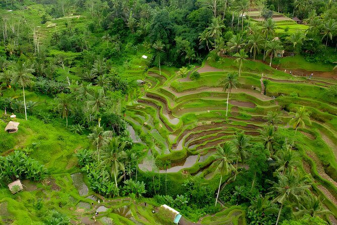 Ayung White Water Rafting and Ubud Art Village Tour - A Full Day of Bali’s Best: What to Expect
