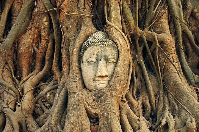 Ayutthaya Ancient Temples Tour from Bangkok by Road (SHA Plus) - The Sum Up: Who Should Book This Tour?