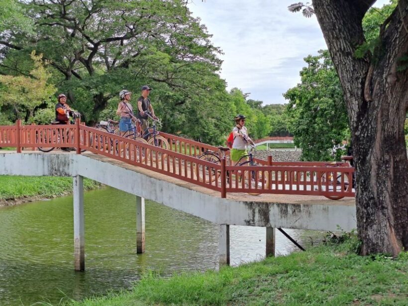 Ayutthaya City and Historical Park Bike Tour - An In-Depth Look at the Tour Experience