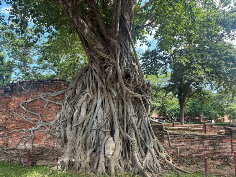 Ayutthaya Full-Day Tour with Bang Pa In (Summer Palace) - The Experience from Reviews