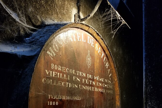 Azeitão Wines Tour and Stunning View Lisbon - Who This Tour Suits Best