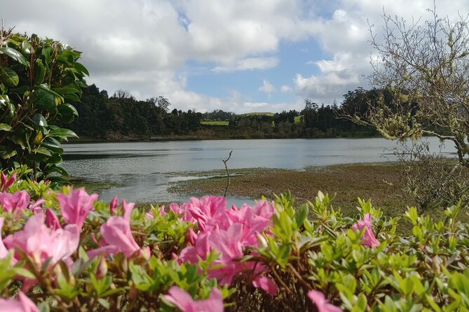 Azores: 1 Day Private Tour Furnas Volcanic Activity & Hot Springs - Starting at Miradouro Santa Iria: Views and a Bit of History