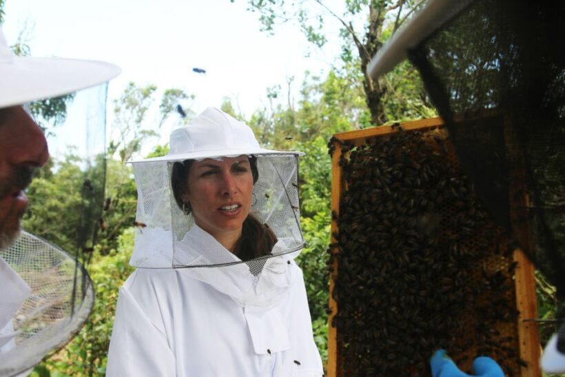 Azores Beekeeping Tour and Honey Taste - FAQ