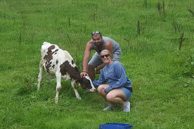 Azores: Explore the Dramatic Crater of Sete Cidades - Breathtaking Views and Scenic Beauty
