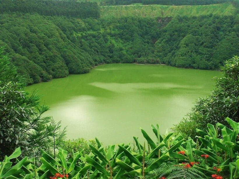 Azores Guided Tour to Volcano and Crater of Sete Cidades - FAQs
