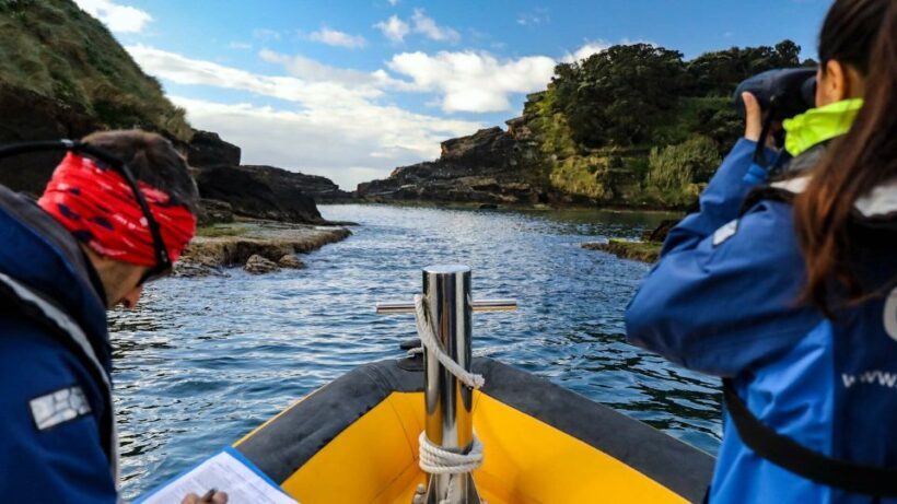 Azores Marine Birdwatching Expedition - The Itinerary in Detail