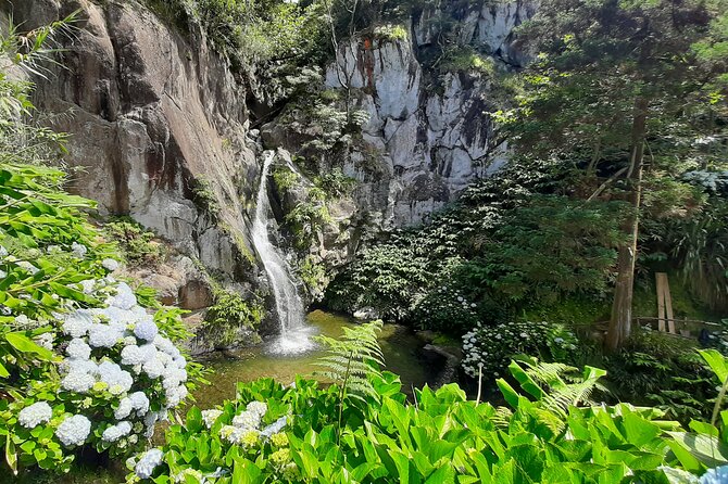 Azores: São Miguel Hike and Snorkeling Into the Wild With a Local - Key Points