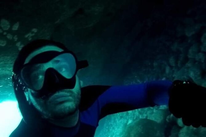 Azores: São Miguel Hike and Snorkeling Into the Wild With a Local - Encounters With the Vibrant Underwater Life