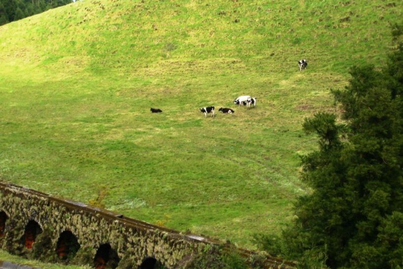 Azores: Sete Cidades Scenic Jeep Tour from Ponta Delgada - FAQ