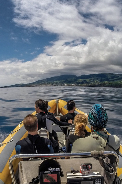 Azores: Swim with Dolphins Atlantic Experience - FAQ