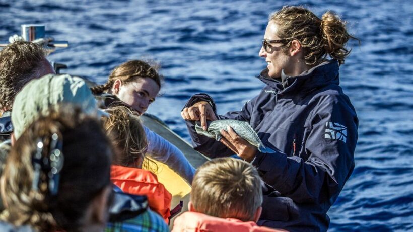 Azores Whale Watching & Islet Boat Tour - The Sum Up: Is This Tour Worth Your Time?