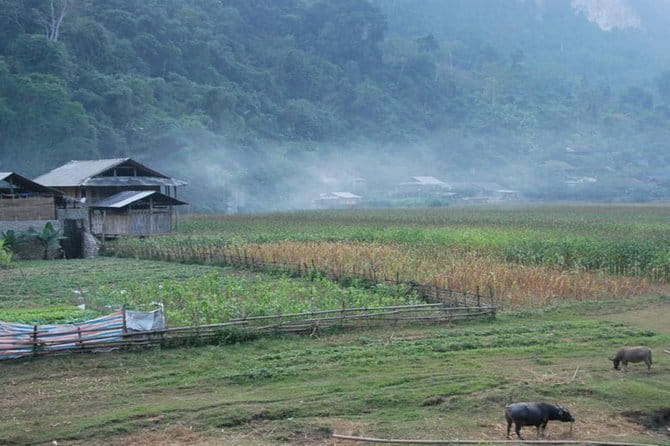 Ba Be lake 2 days 1 night including kayaking - Day 1: From Land to Water and Cave Exploration