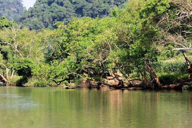 Ba Be Lake & Ban Gioc Waterfall Adventure Tour 3 Days - An In-Depth Look at the 3-Day Adventure