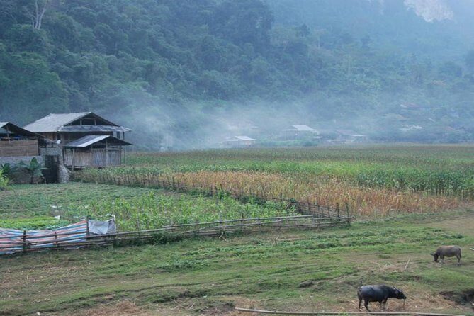 Ba Be remote regions trekking 5 days - The Sum Up: Is It Worth It?