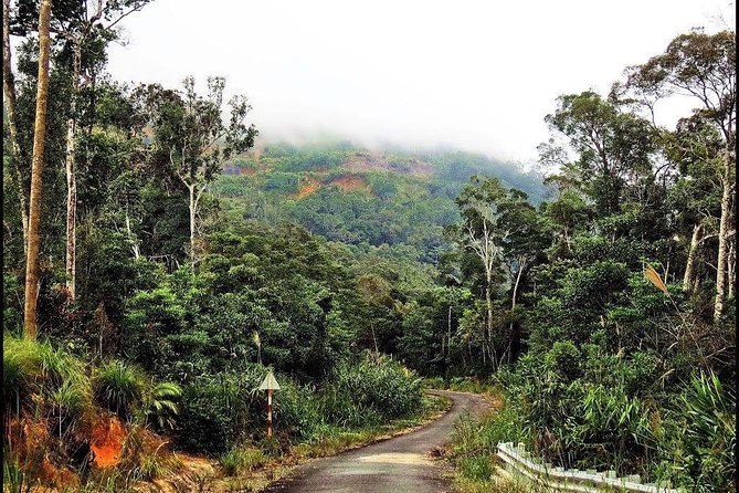 Ba Ho waterfalls ( Trekking + Swimming + Jumping +Amazing Nature) - Authentic Experiences and Highlights