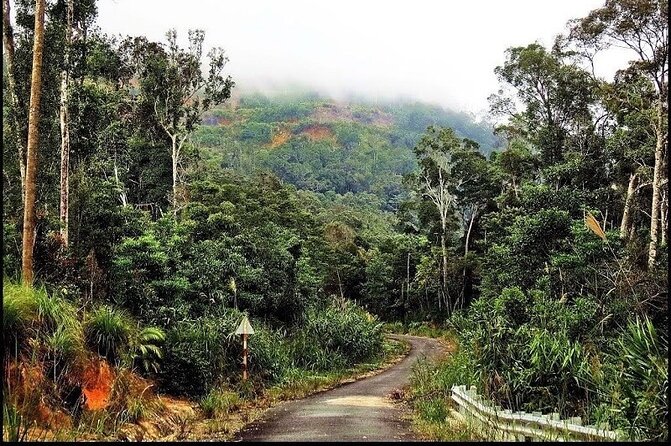 Ba Ho waterfalls ( Trekking + Swimming + Jumping +Amazing Nature) - Who Should Consider This Tour?