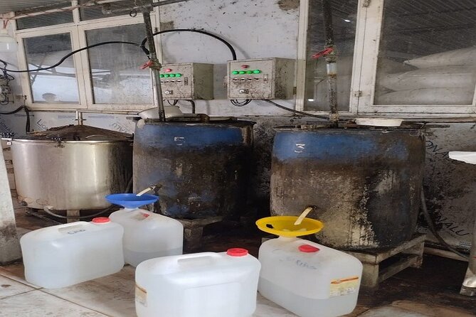 Ba Na Hill/Golden Bridge/Dragon Bridge Customize Tour by Private - Cultural & Natural Sights Beyond the Park