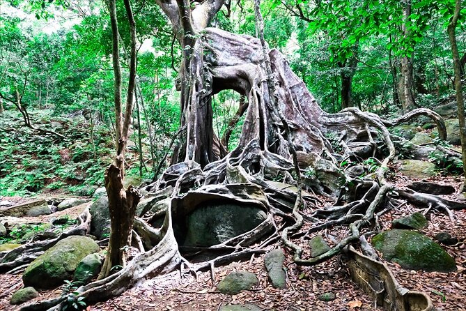 Ba Na Hill/Golden Bridge/Dragon Bridge Customize Tour by Private - Who Will Love This Tour?