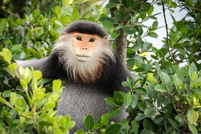 Ba Na Hill/Golden Bridge/Dragon Bridge Customize Tour by Private - Final Thoughts