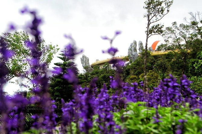 Ba Na Hills Private Tour - FAQ