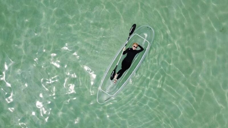 Ba Ti Ya Ge Lan Dao Chu Hai Yi Ri You Kuai Ting Wang Fan Ge Lan Dao Han Dao Shang Hai Xian Wu Can Ke Xuan Gou Qi Da Feng Fu Shui Shang She Shi T586685 Review - Key Points