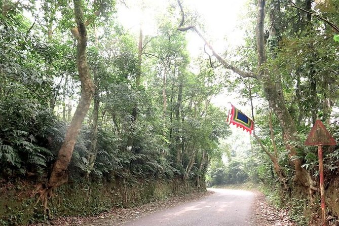 Ba Vi National Park Private Tour: Sightseeings & Jungle Hikking - Who Should Consider This Tour?