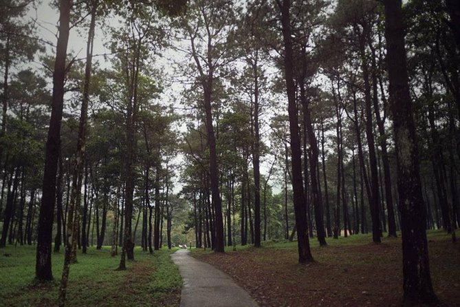 Ba Vi National Park Private Tour: Sightseeings & Jungle Hikking - FAQ