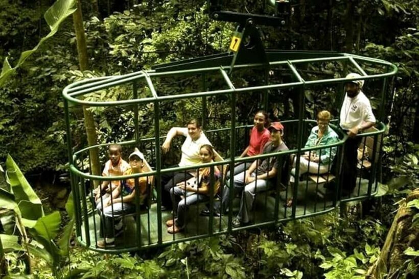 Babonneau/Castries: Rainforest Zip Line, Tram, and Hike Tour - Key Points