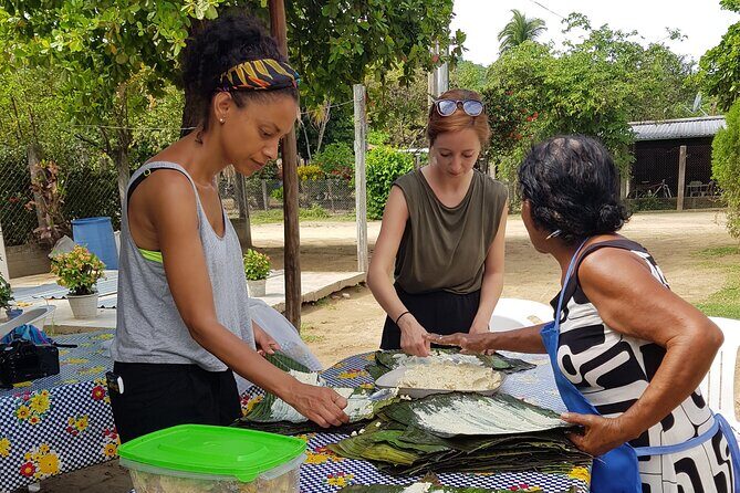 Baby sea turtles camp - Frequently Asked Questions