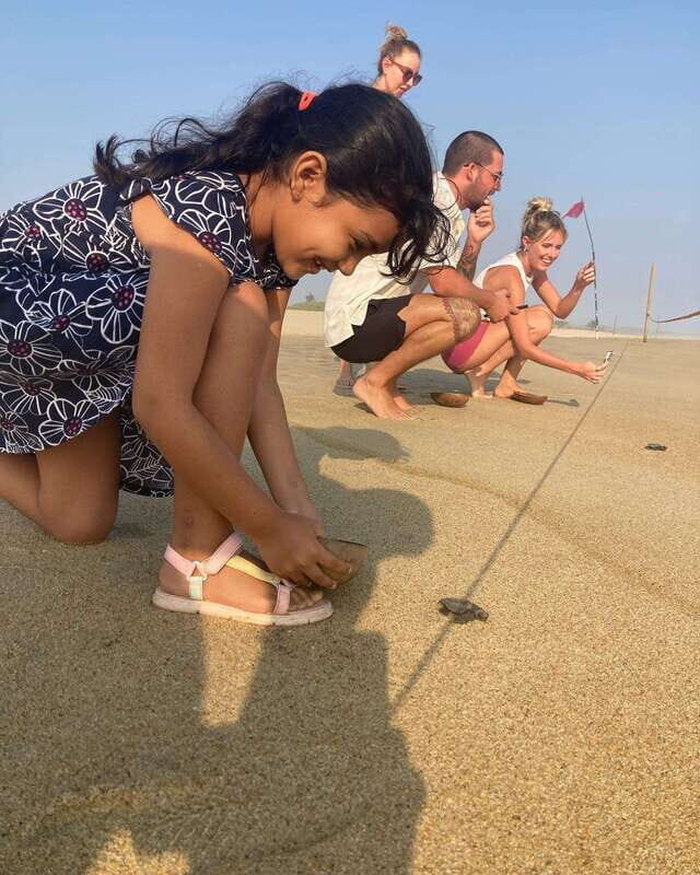 Baby Sea turtles release in Puerto Escondido - Who Will Love This Experience?
