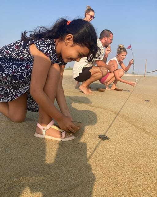Baby Sea turtles release in Puerto Escondido - FAQ