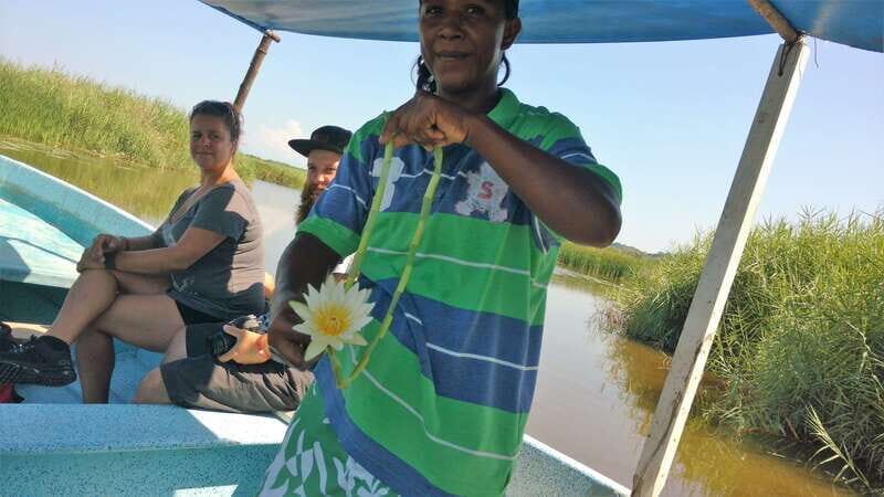 .Baby Turtle Release, Lagoon Boat Ride, and Crocodile Farm - Baby Turtle Release, Lagoon Boat Ride, and Crocodile Farm: An Authentic Nature Escape in Chihuahua, Mexico
