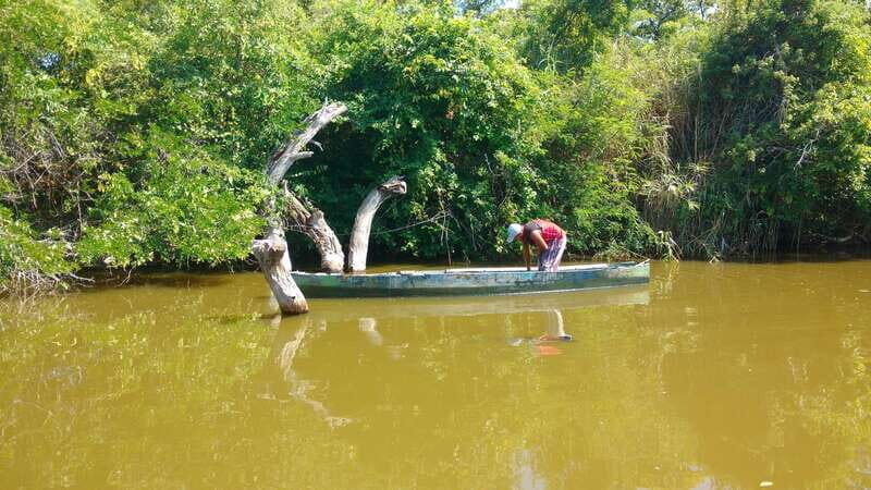 .Baby Turtle Release, Lagoon Boat Ride, and Crocodile Farm - A Closer Look at the Tour Experience